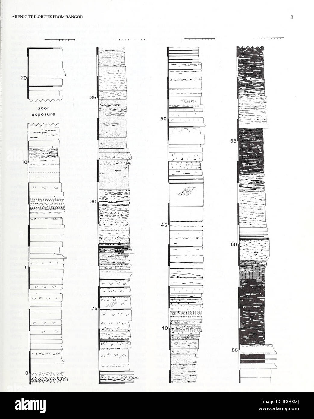 Sedimentary log hi-res stock photography and images - Alamy