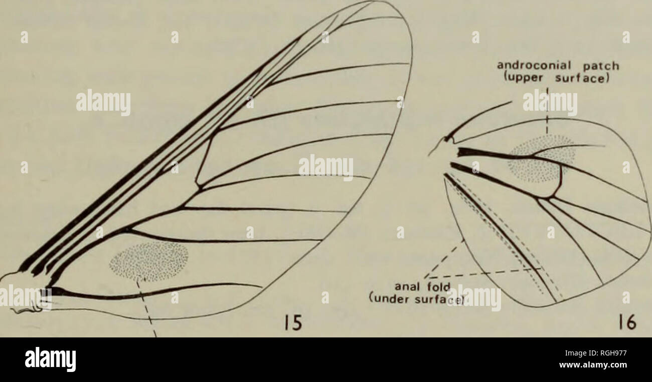 . Bulletin of the British Museum (Natural History) Entom Supp ...