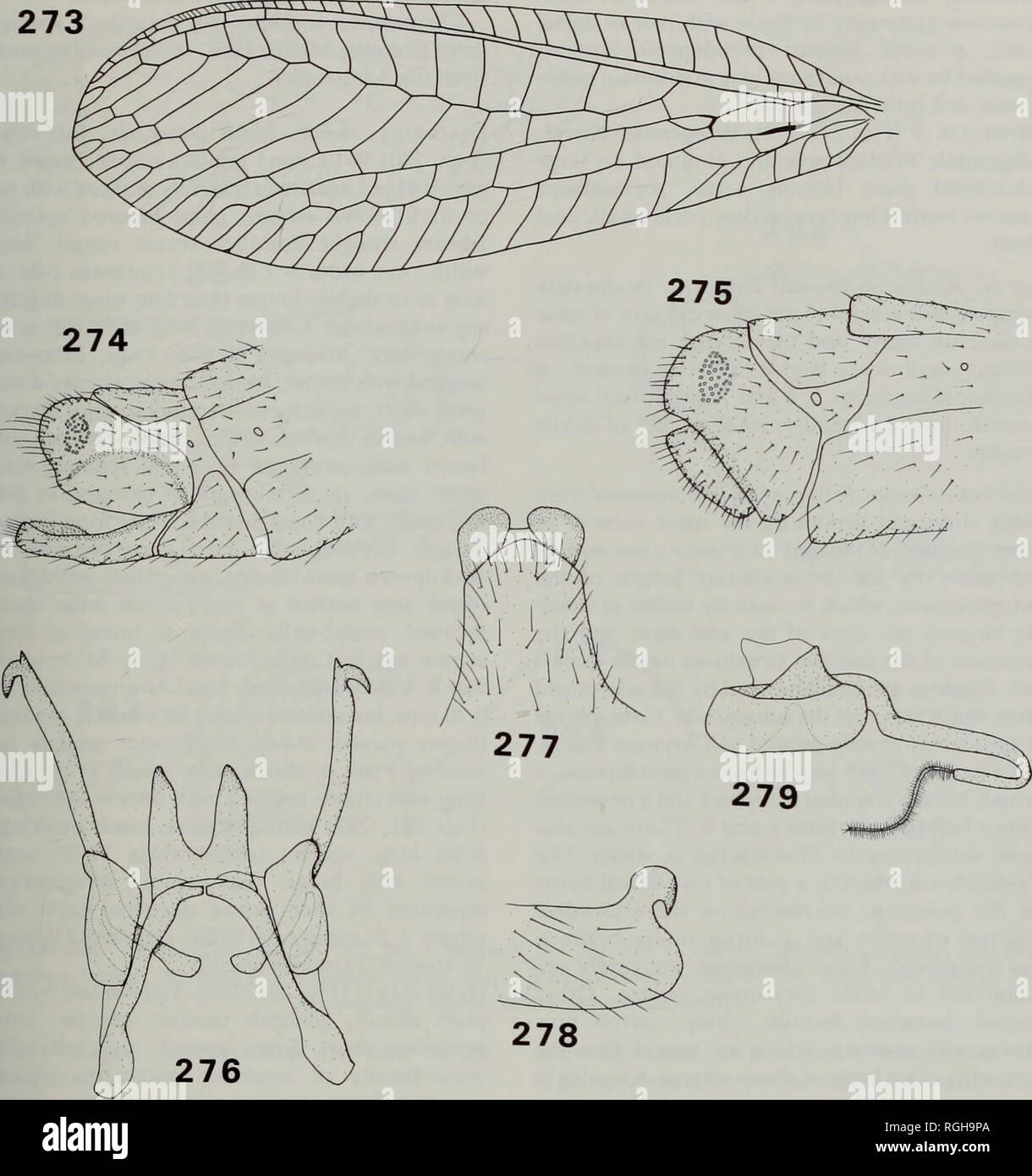 . Bulletin of the British Museum (Natural History) Entomology. THE ...