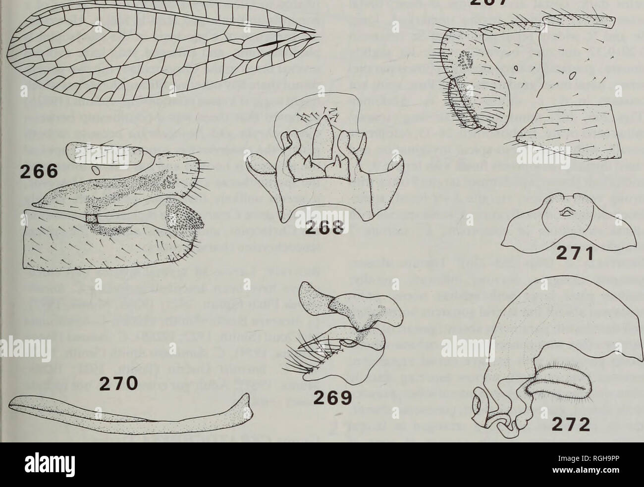 . Bulletin of the British Museum (Natural History) Entomology. THE ...