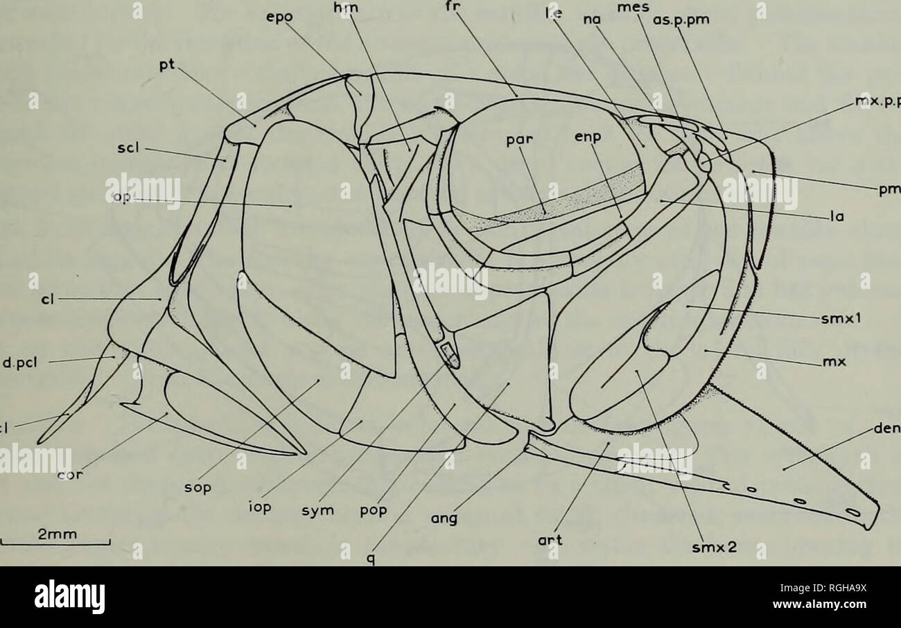 . Bulletin of the British Museum (Natural History) Geology Supplement ...
