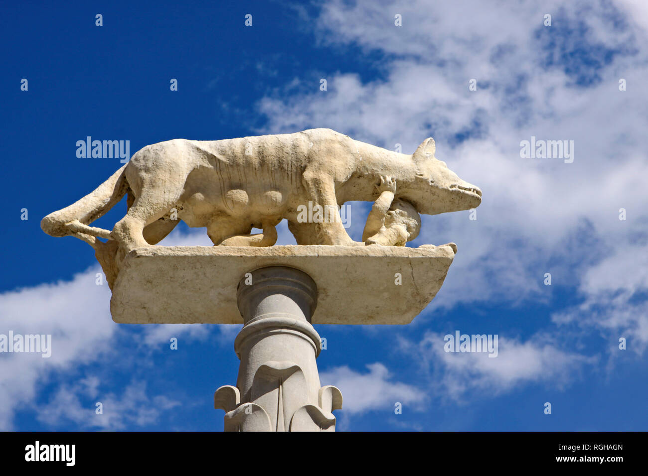 The Capitoline Wolf (Lupa Capitolina) in Siena, Tuscany, Italy, Europe ...