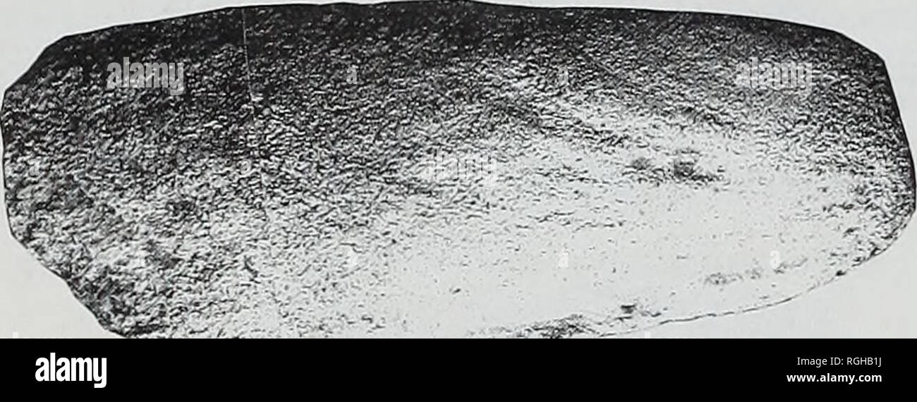 . Bulletin of the British Museum (Natural History), Geology. hand ...