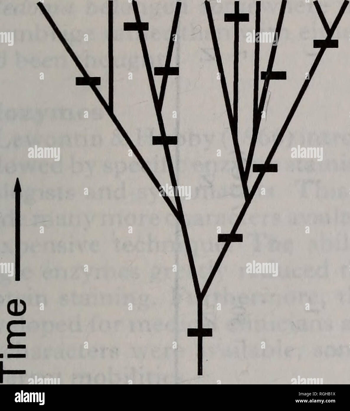 . Bulletin of the British Ornithologists' Club. Bull.B.O.C. 112A 41 ...