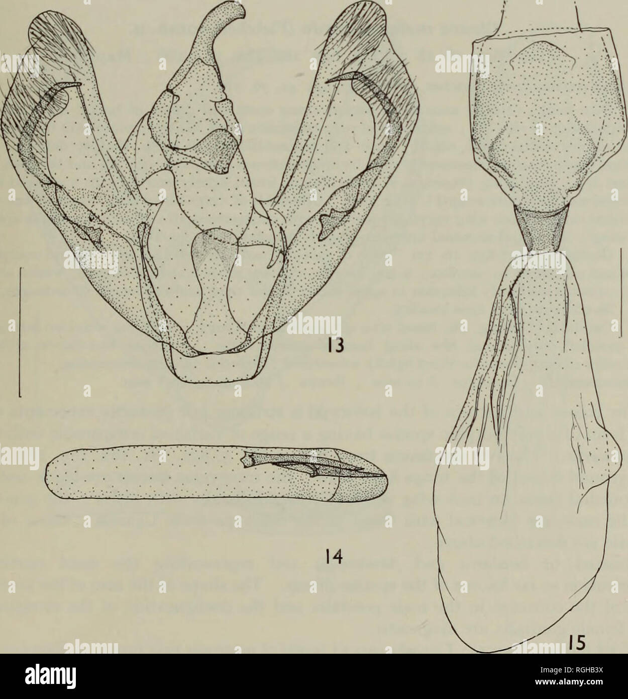 Buff bay river hi-res stock photography and images - Alamy