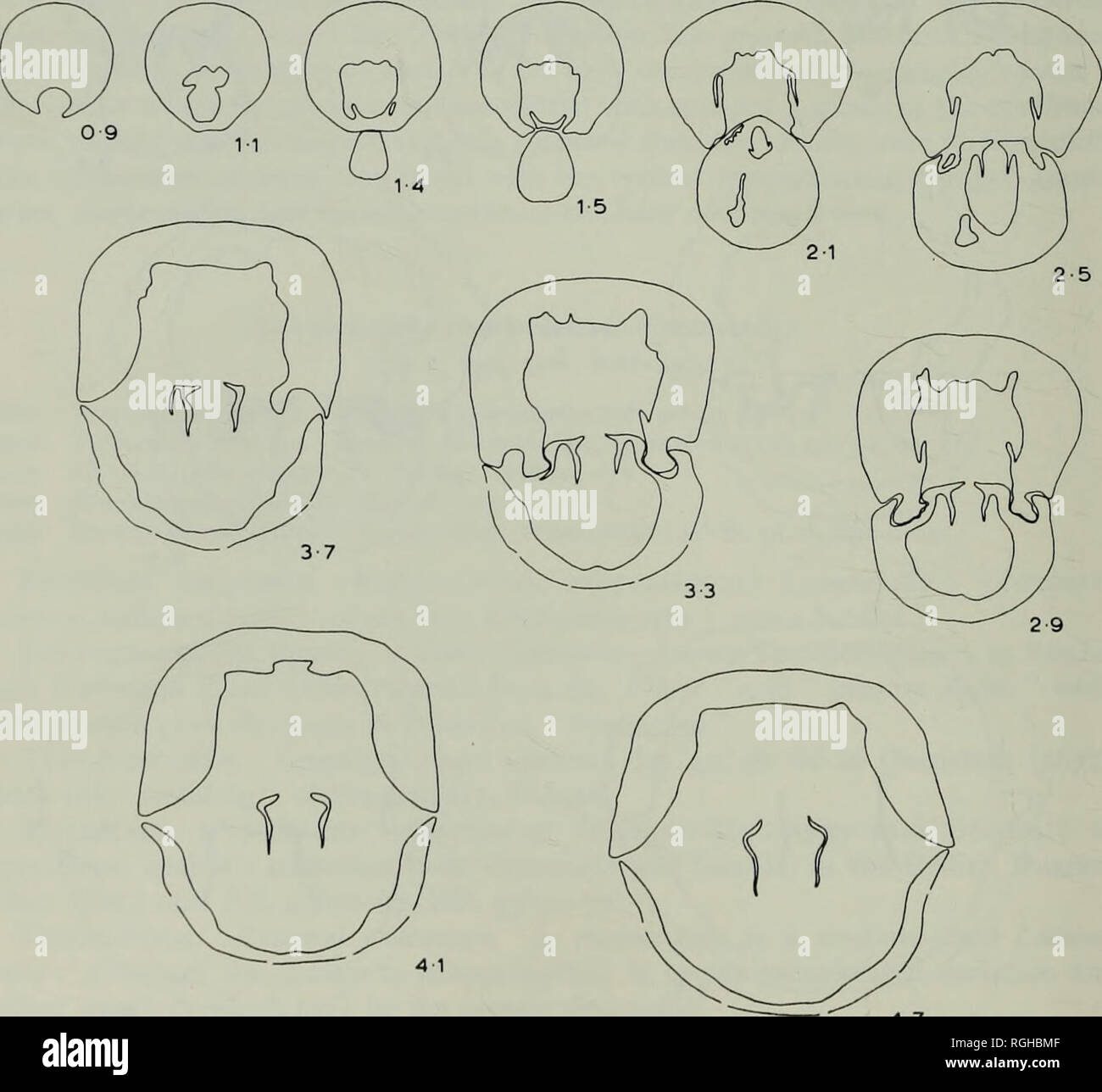 Width 97 cm hi-res stock photography and images - Alamy