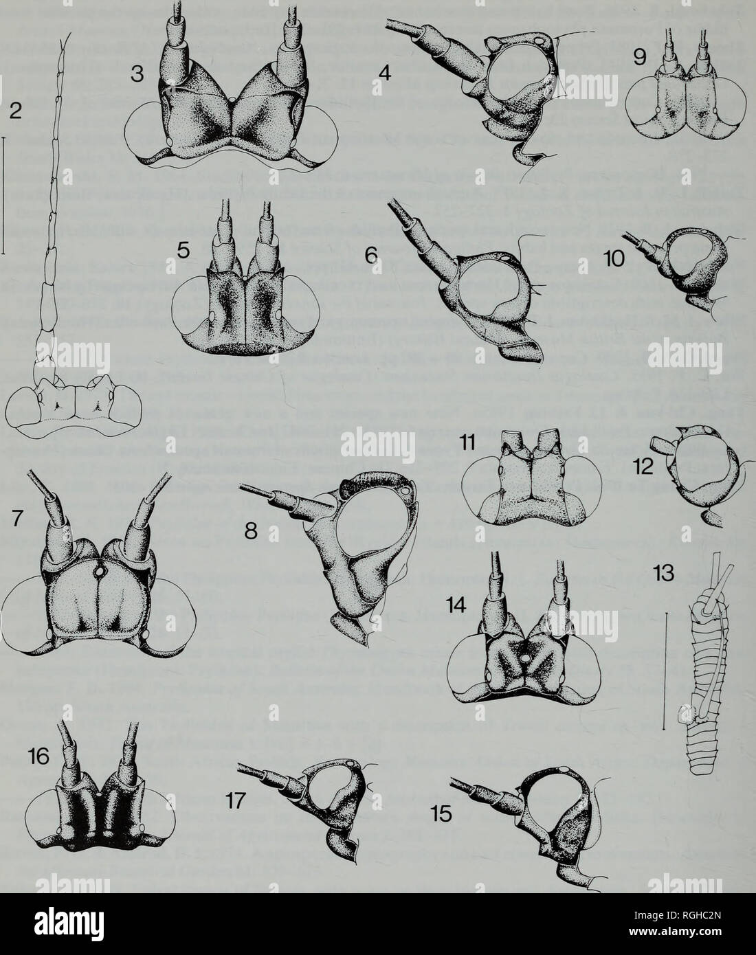 . Bulletin of the British Museum (Natural History) Entomology. 116 D ...