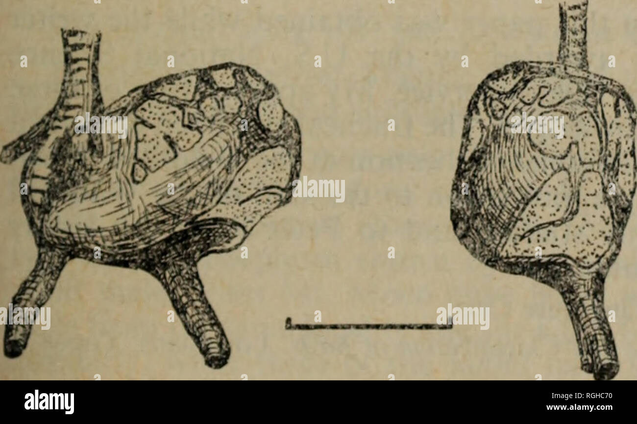 Dia 105 mm hi-res stock photography and images - Alamy