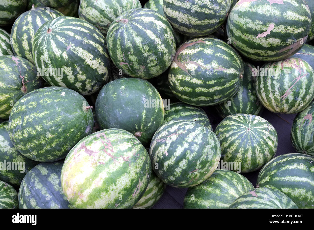 Watermelons agriculture hi-res stock photography and images - Alamy