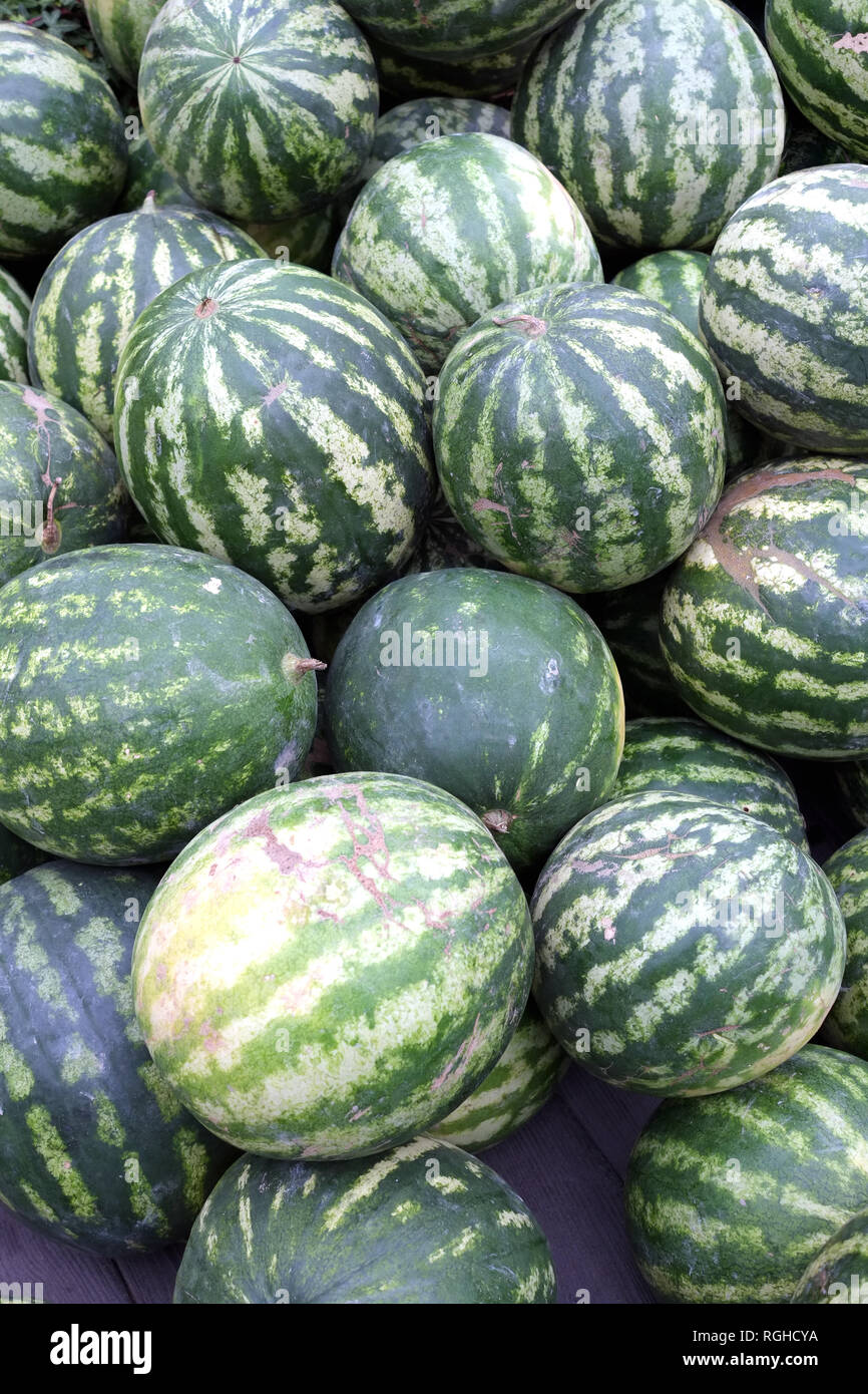 Crop of lot stripe ripe watermelons as background front view close up ...