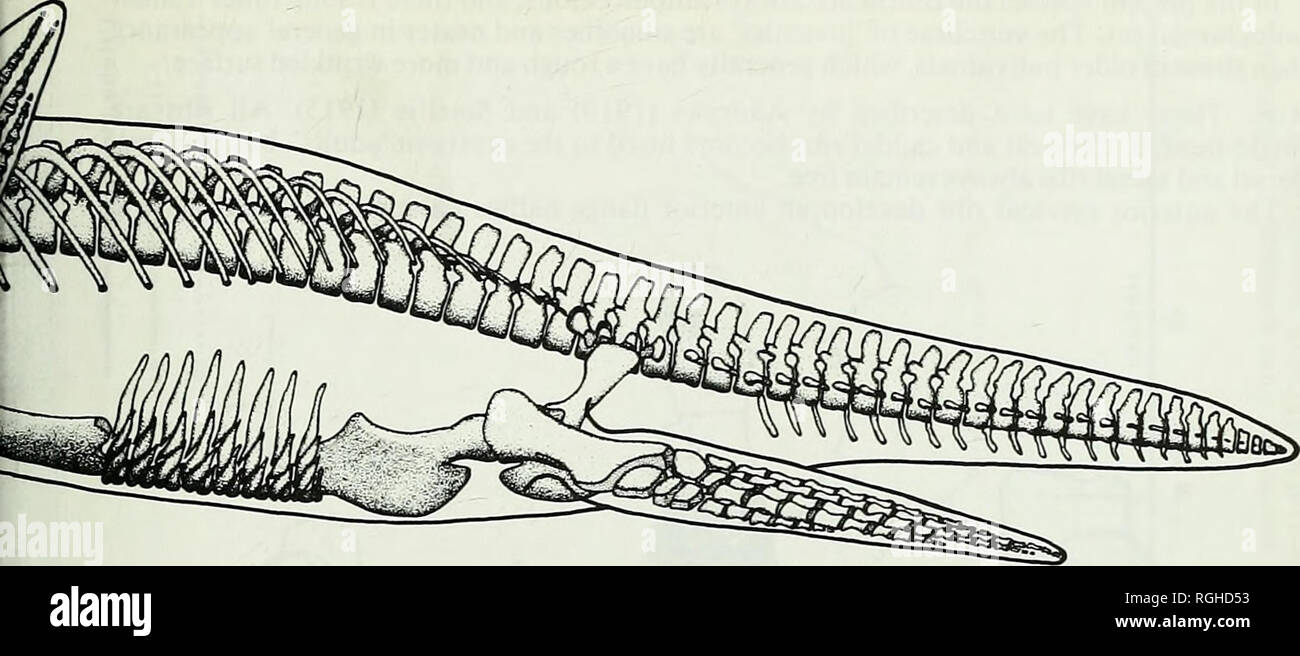 . Bulletin of the British Museum (Natural History). UPPER JURASSIC ...