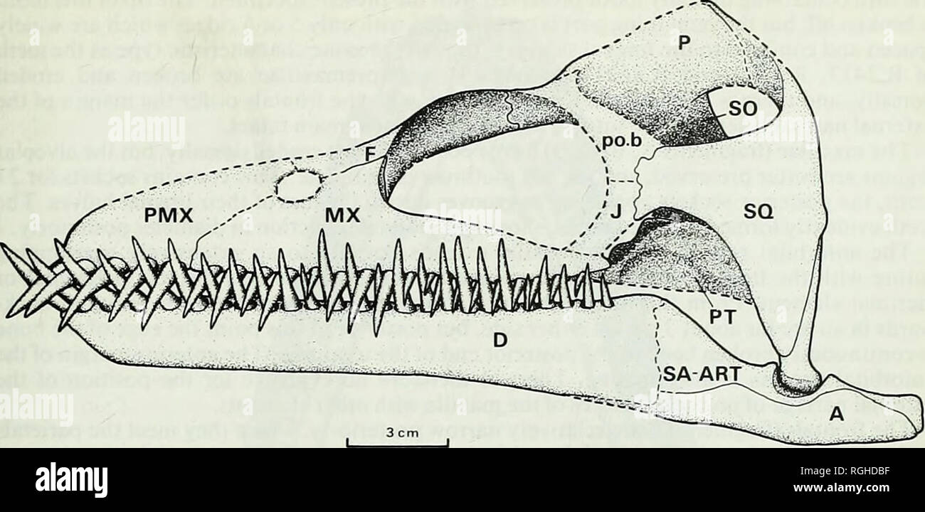 . Bulletin of the British Museum (Natural History). UPPER JURASSIC ...