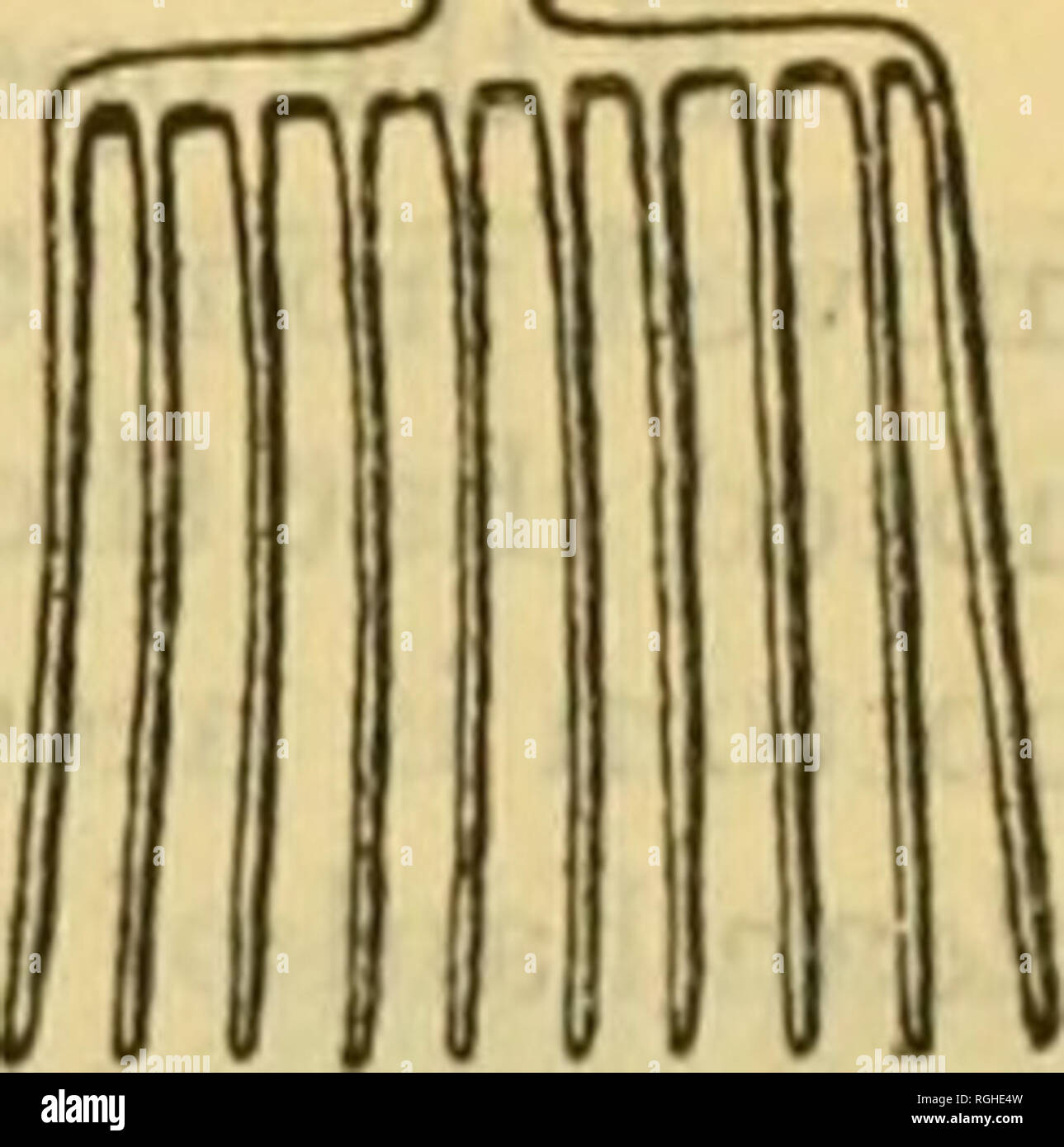 Bottom culture mussels hi-res stock photography and images - Alamy