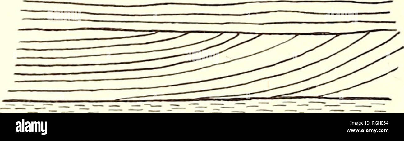 Waxy luster hi-res stock photography and images - Alamy