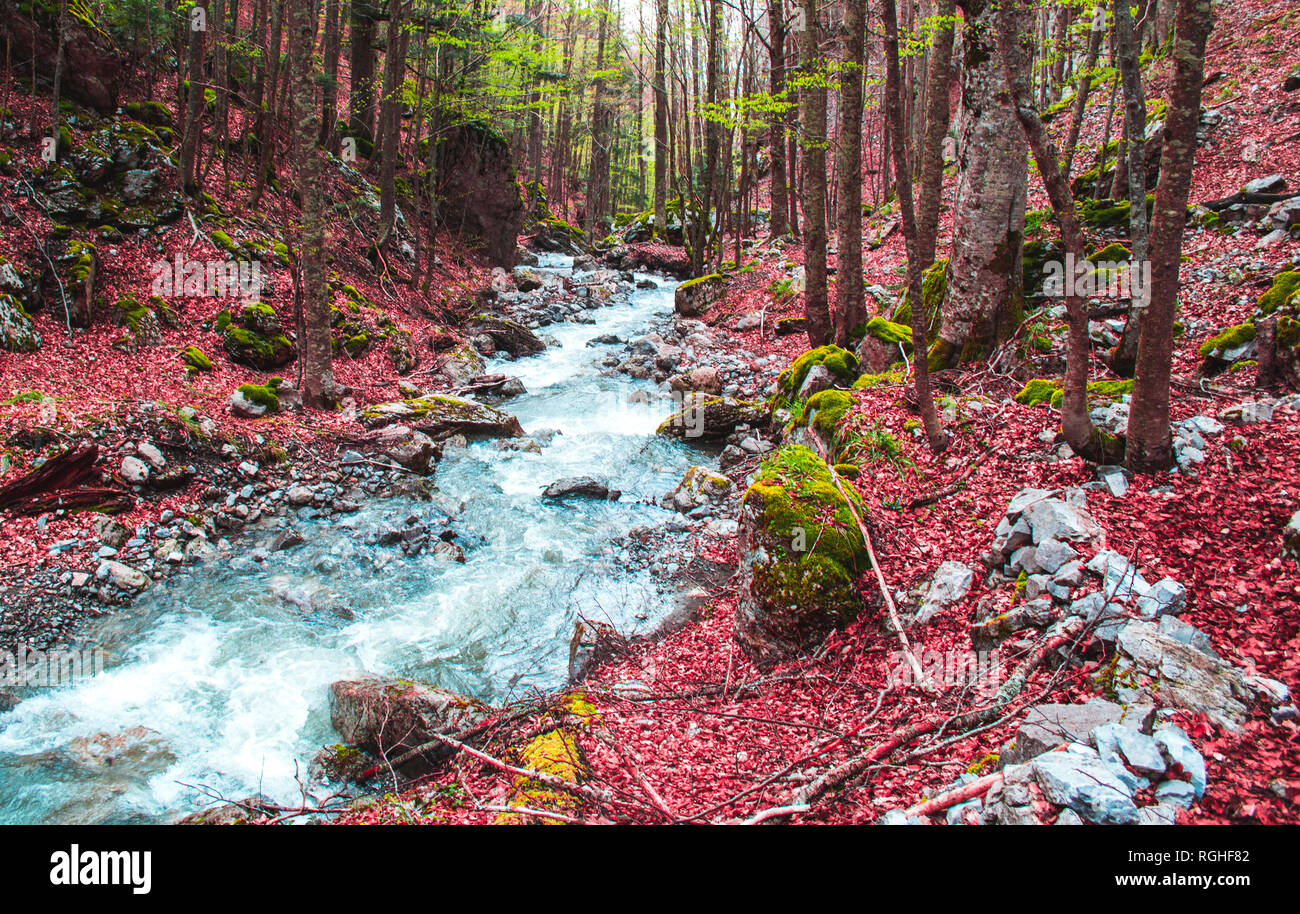Pollino national Park Stock Photo - Alamy