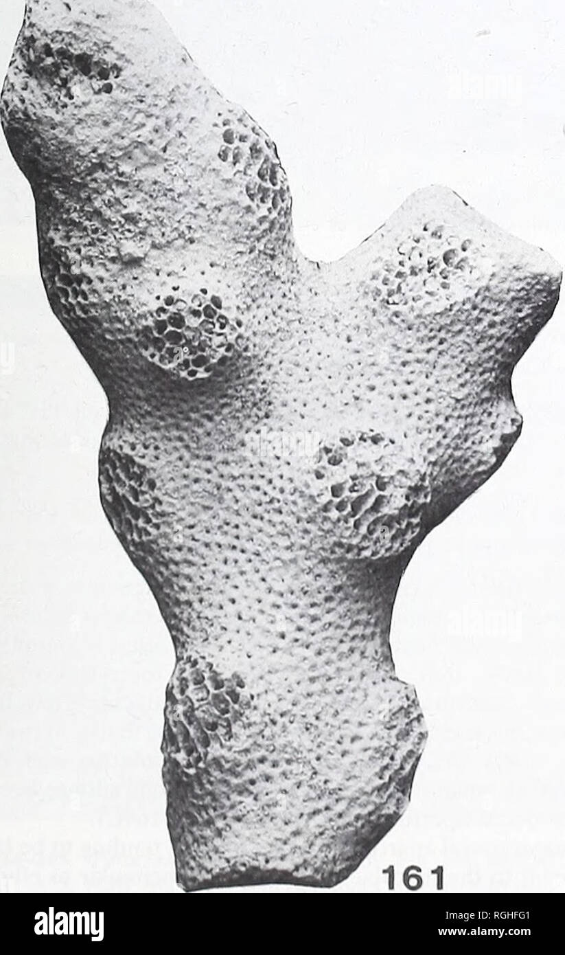 Sponge pit hi-res stock photography and images - Alamy