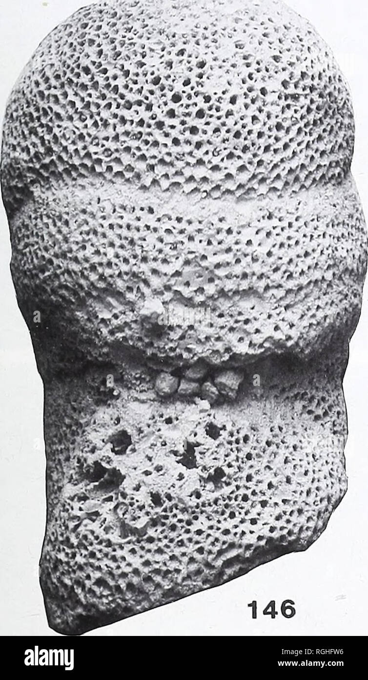 Sponge pit hi-res stock photography and images - Alamy