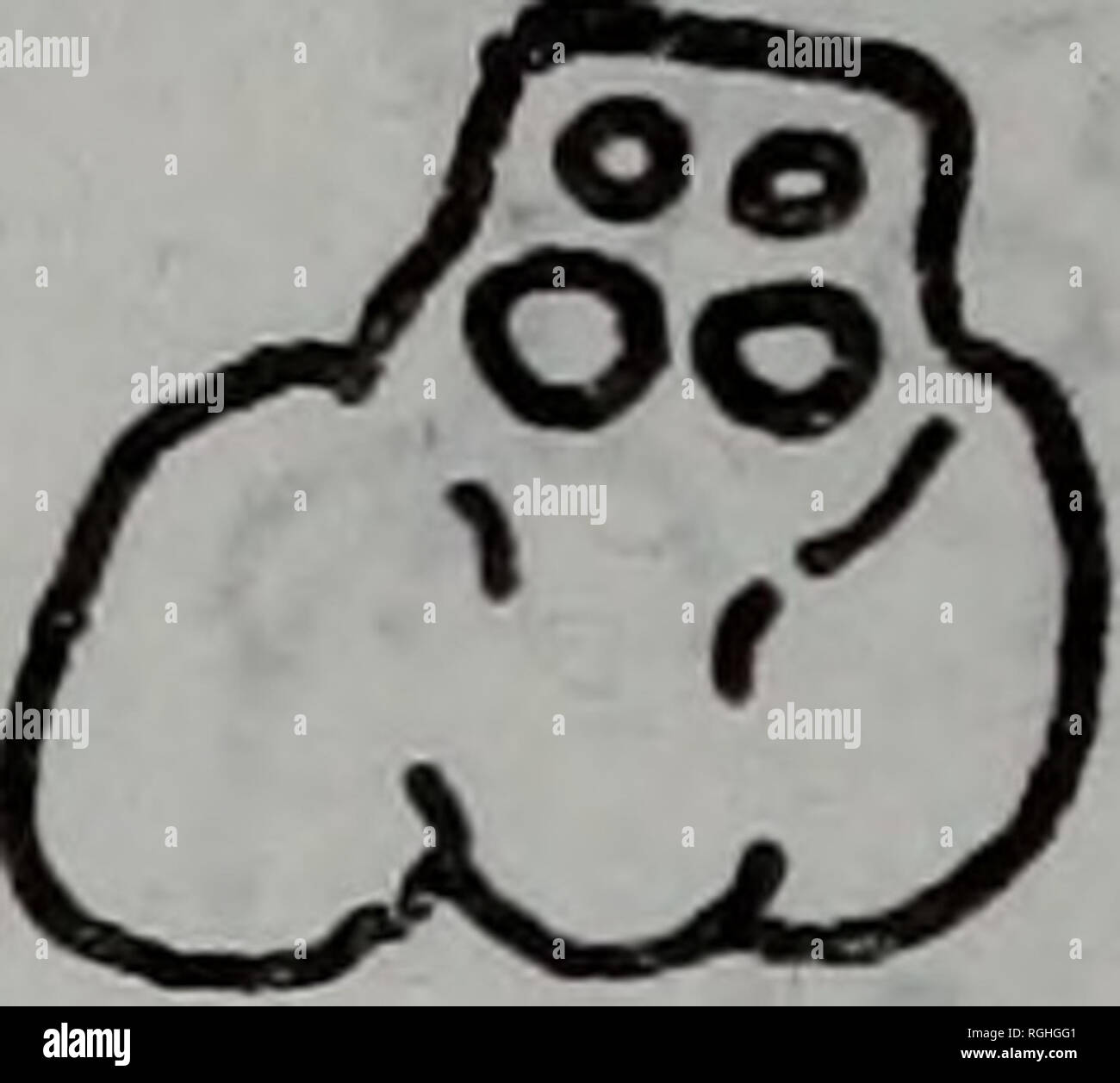 Manura hi-res stock photography and images - Alamy