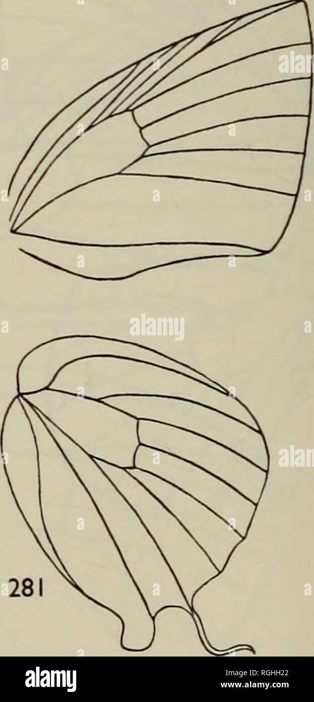 Nomion hi-res stock photography and images - Alamy