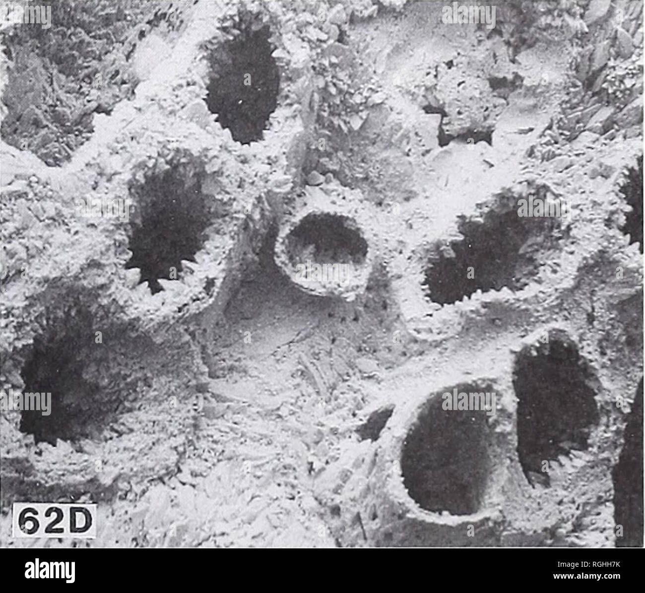 Diffuse edges hi-res stock photography and images - Alamy