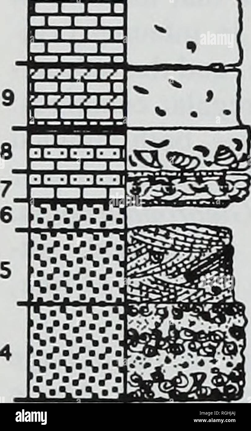 Packstone hi-res stock photography and images - Alamy