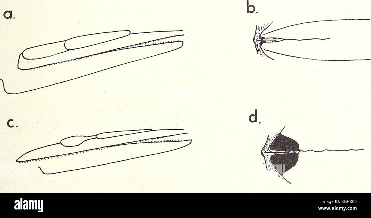 1758 1848 hi-res stock photography and images - Alamy