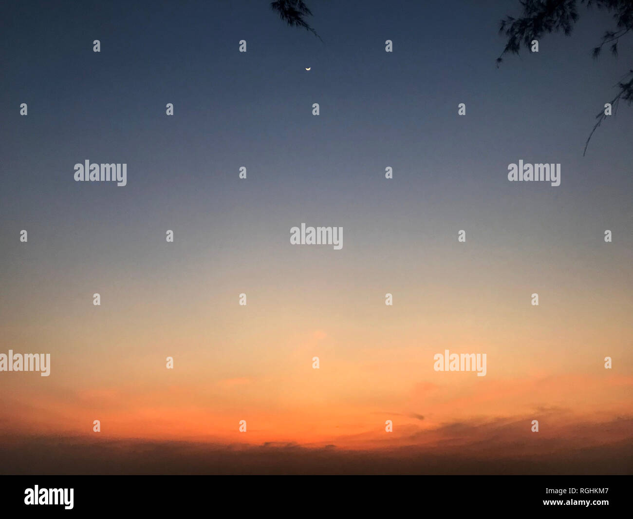 Beautiful ocean blue lagoon and palm trees of Cambodia Stock Photo - Alamy