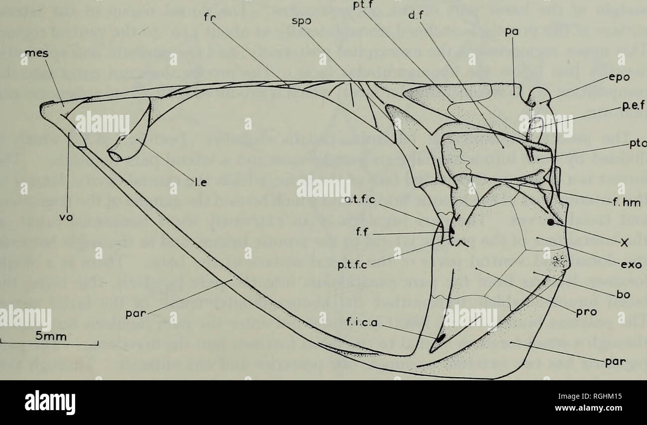 . Bulletin of the British Museum (Natural History) Geology Supplement ...