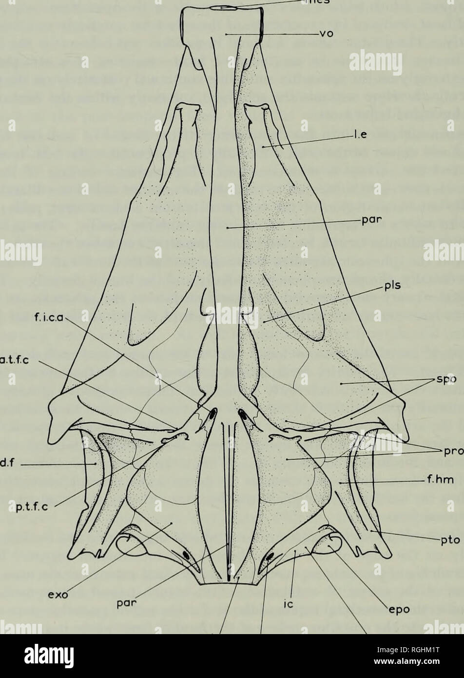 . Bulletin of the British Museum (Natural History) Geology Supplement ...