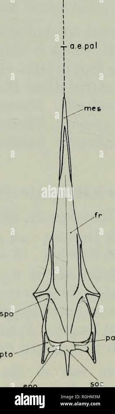 . Bulletin of the British Museum (Natural History) Geology Supplement ...