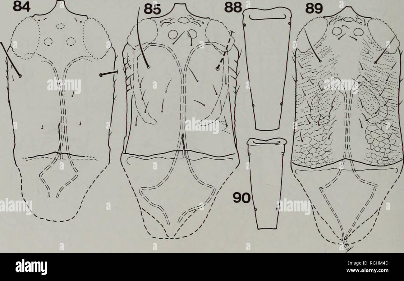 . Bulletin of the British Museum (Natural History) Entomology. . Figs ...