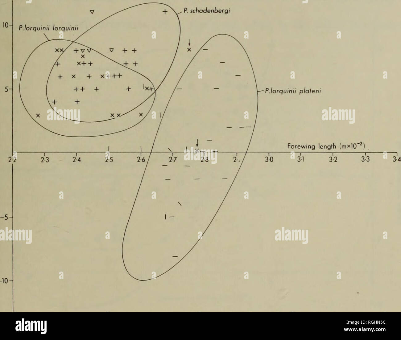 . Bulletin of the British Museum (Natural History) Entomology. REVISION ...