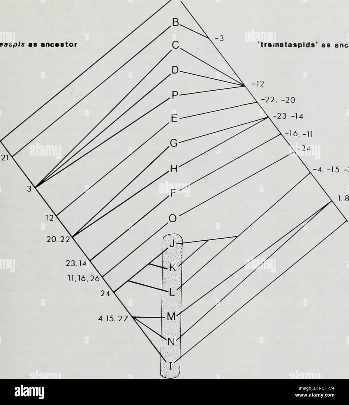 . Bulletin of the British Museum (Natural History), Geology. DOWNTONIAN ...
