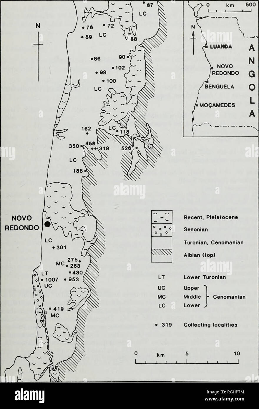 Moçâmedes hi-res stock photography and images - Alamy