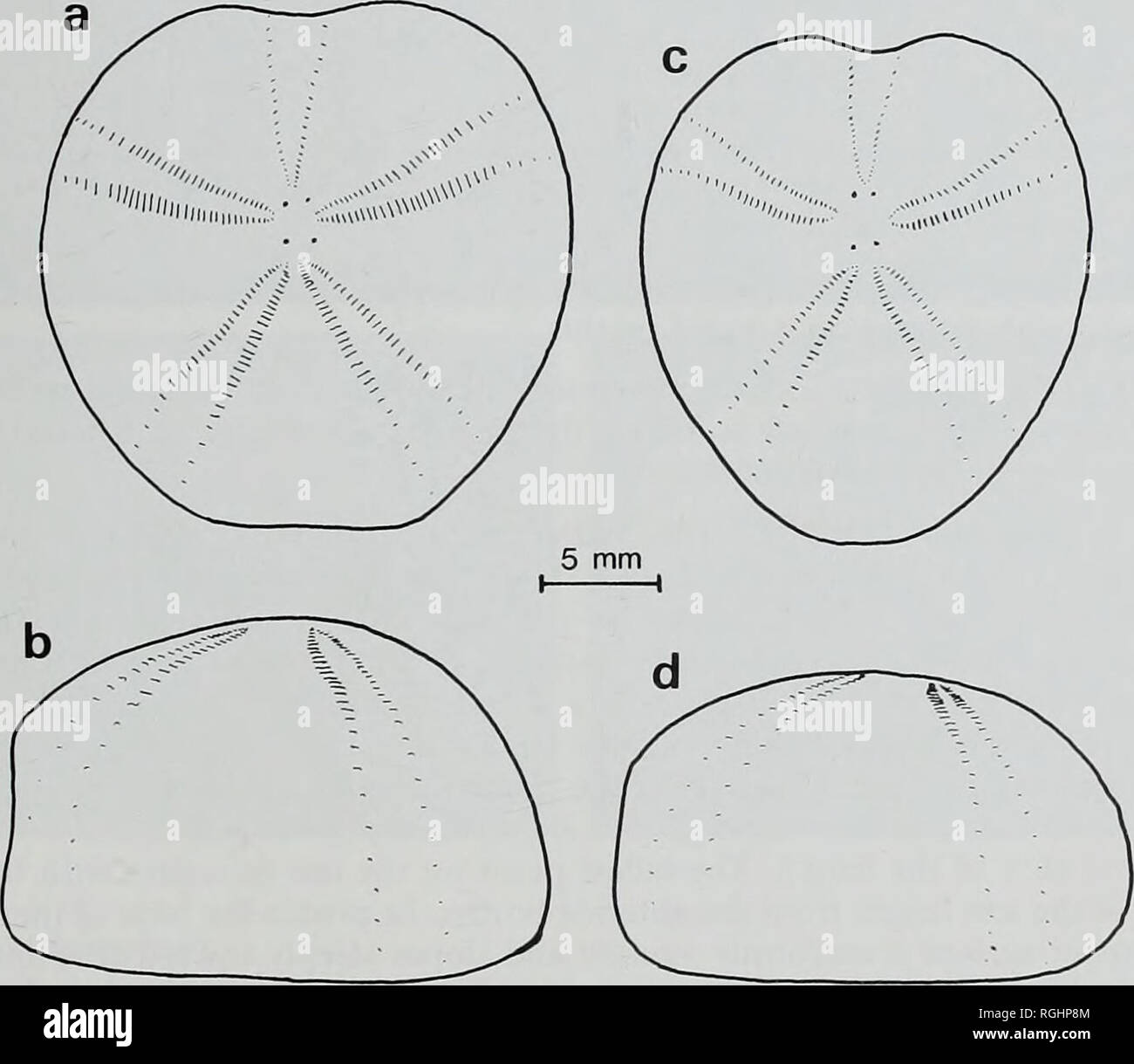. Bulletin of the British Museum (Natural History), Geology. CRETACEOUS ...