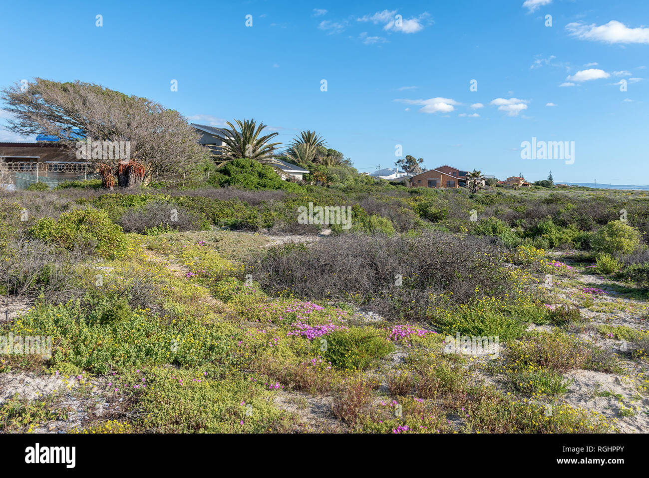Dwarskersbos hi-res stock photography and images - Alamy