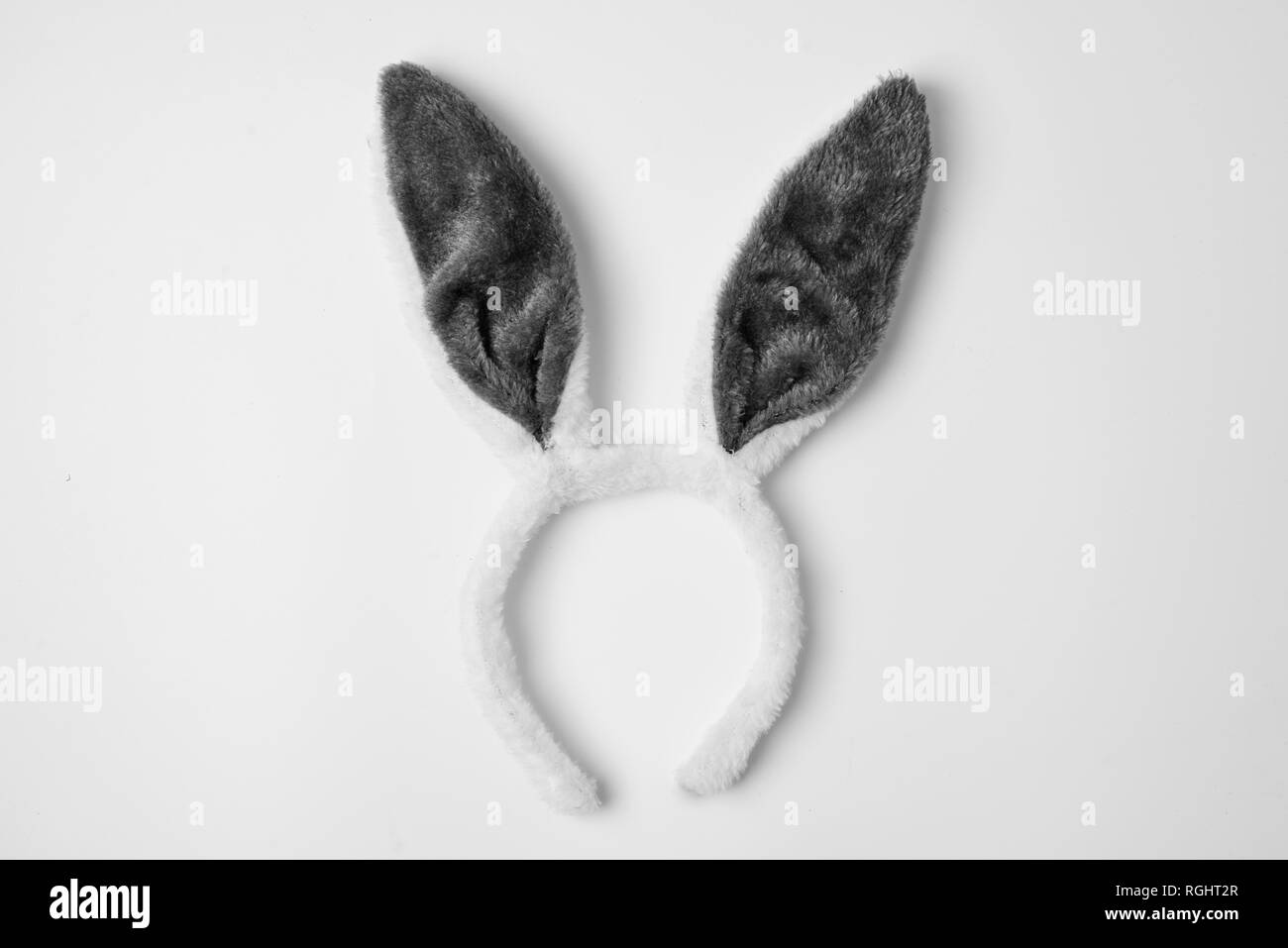 Top view of grey rabbit ears on white background easter minimal blogger ...