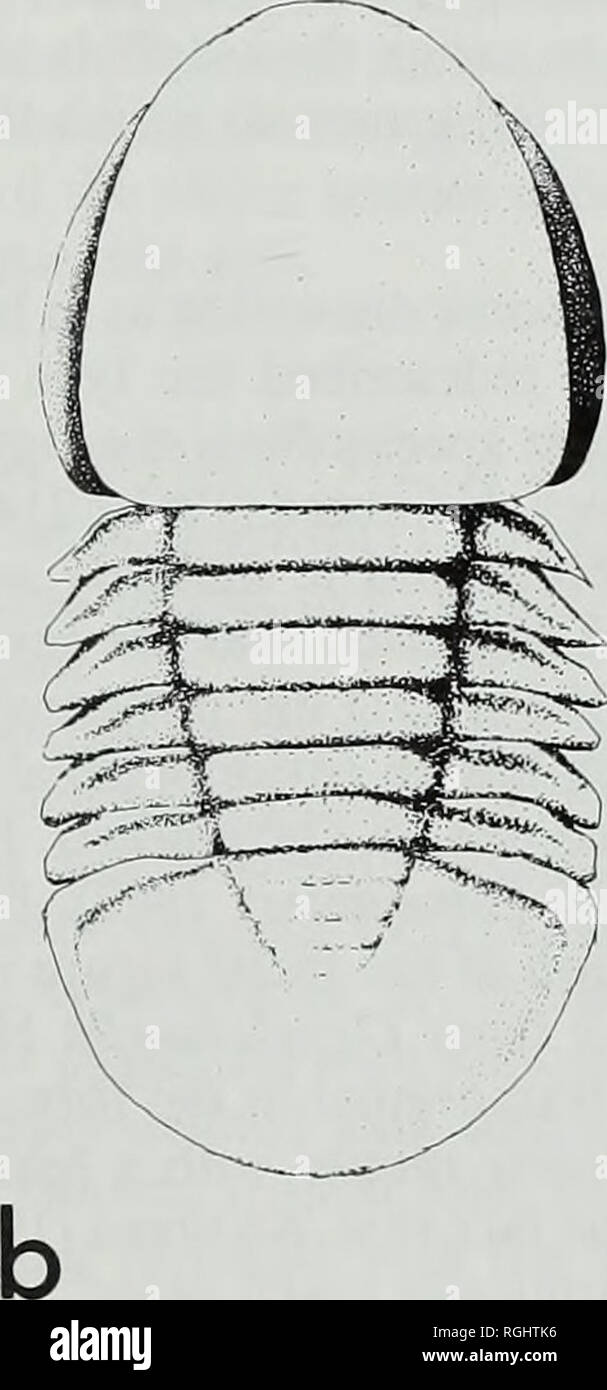 . Bulletin of the British Museum (Natural History), Geology. . Fig. 9 ...