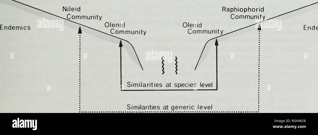Pelagic benthic communities hi-res stock photography and images - Alamy