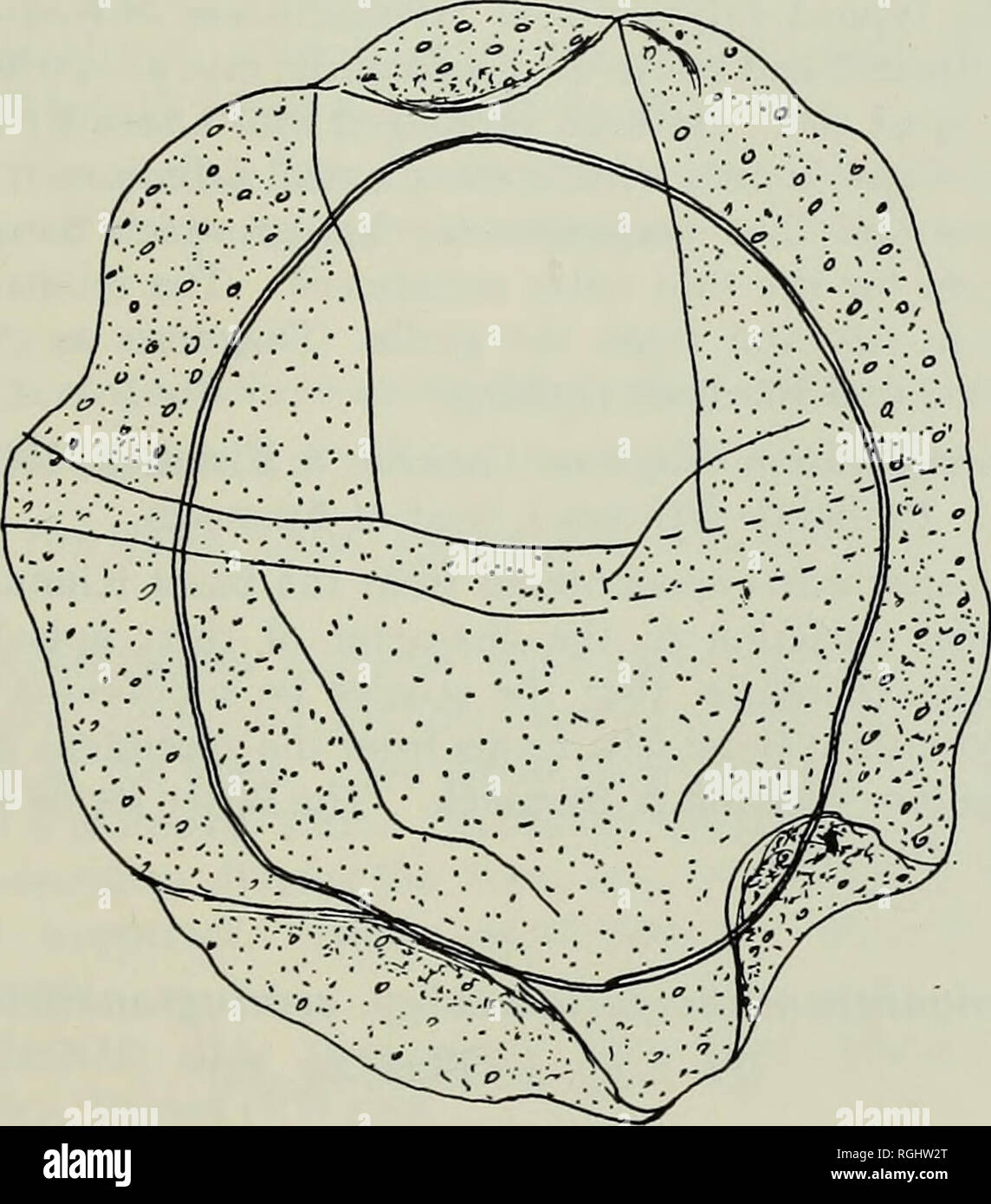 1962a hi-res stock photography and images - Alamy