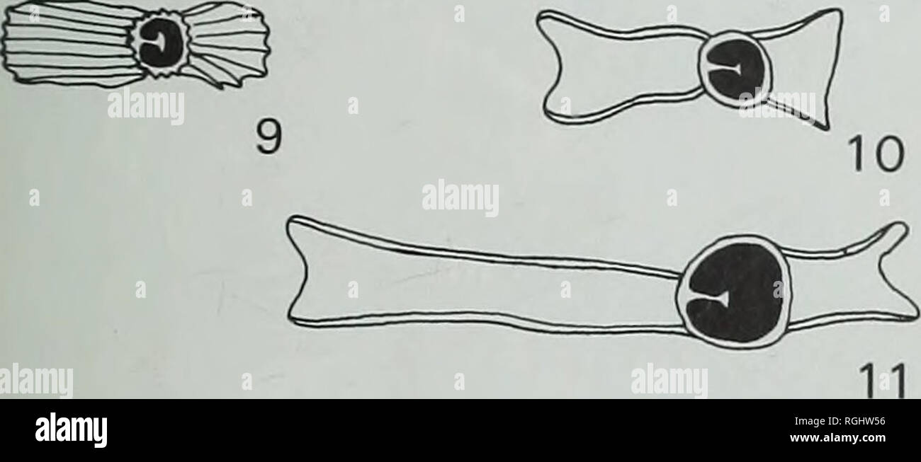 21 9 1944 hi-res stock photography and images - Alamy