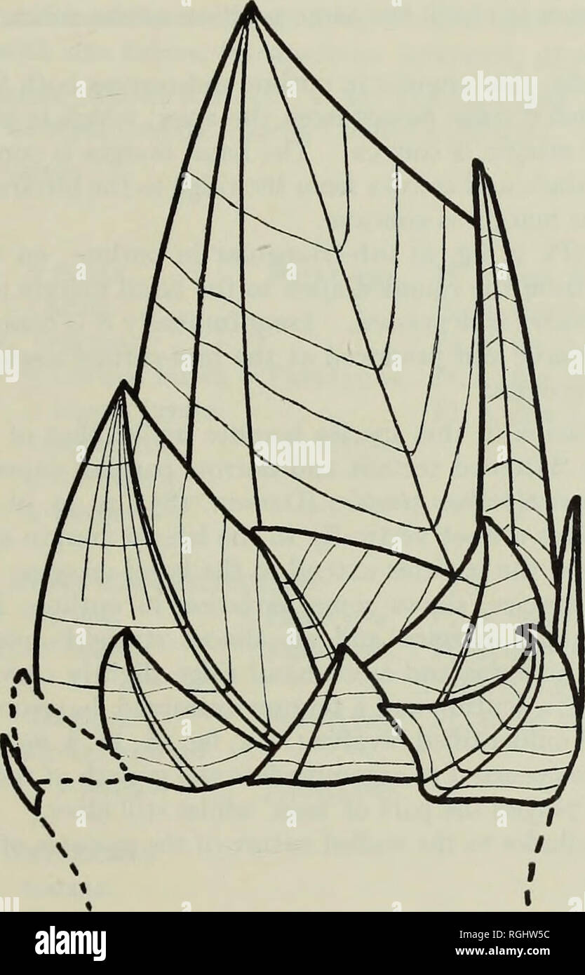 High convex ridge hi-res stock photography and images - Alamy