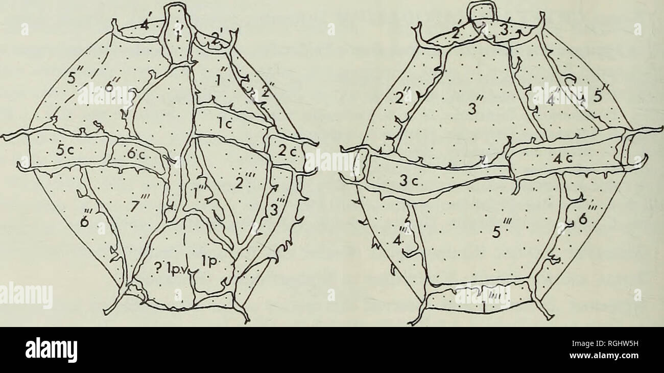 Oxfordian kimmeridgian hi-res stock photography and images - Alamy