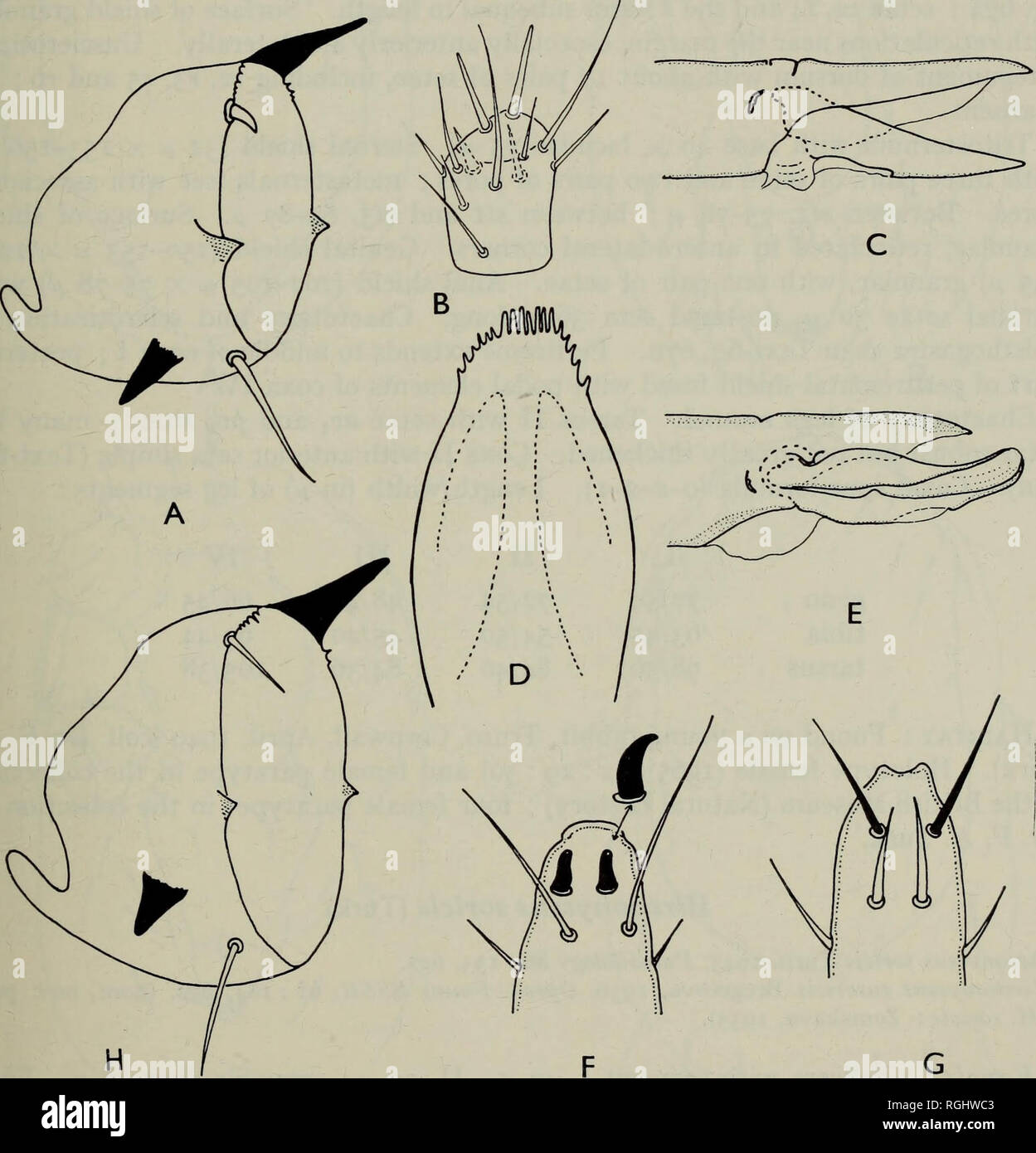 Ae iii 45 a hi-res stock photography and images - Alamy