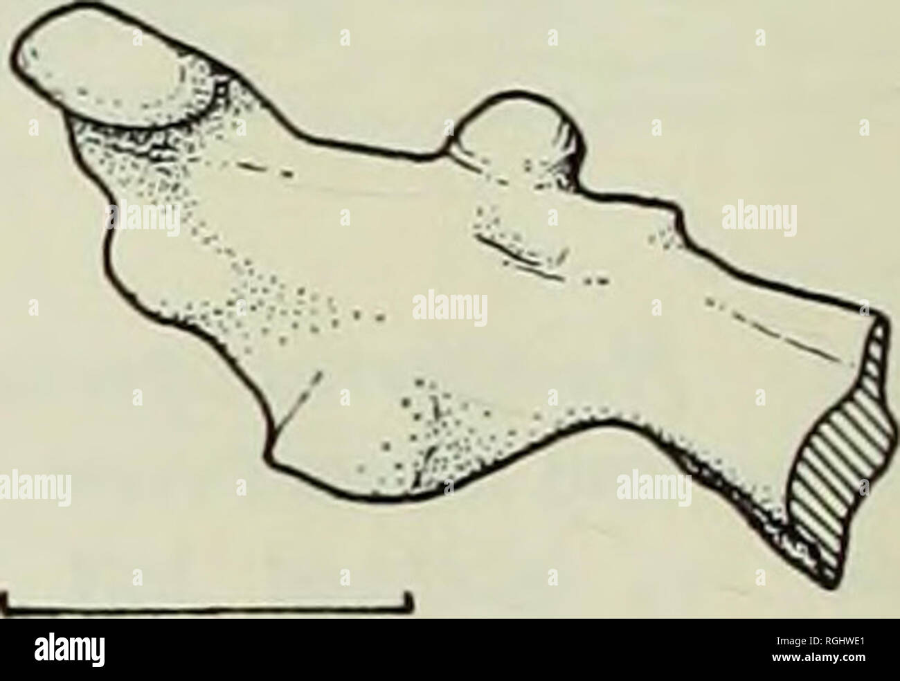 51272 hi-res stock photography and images - Alamy