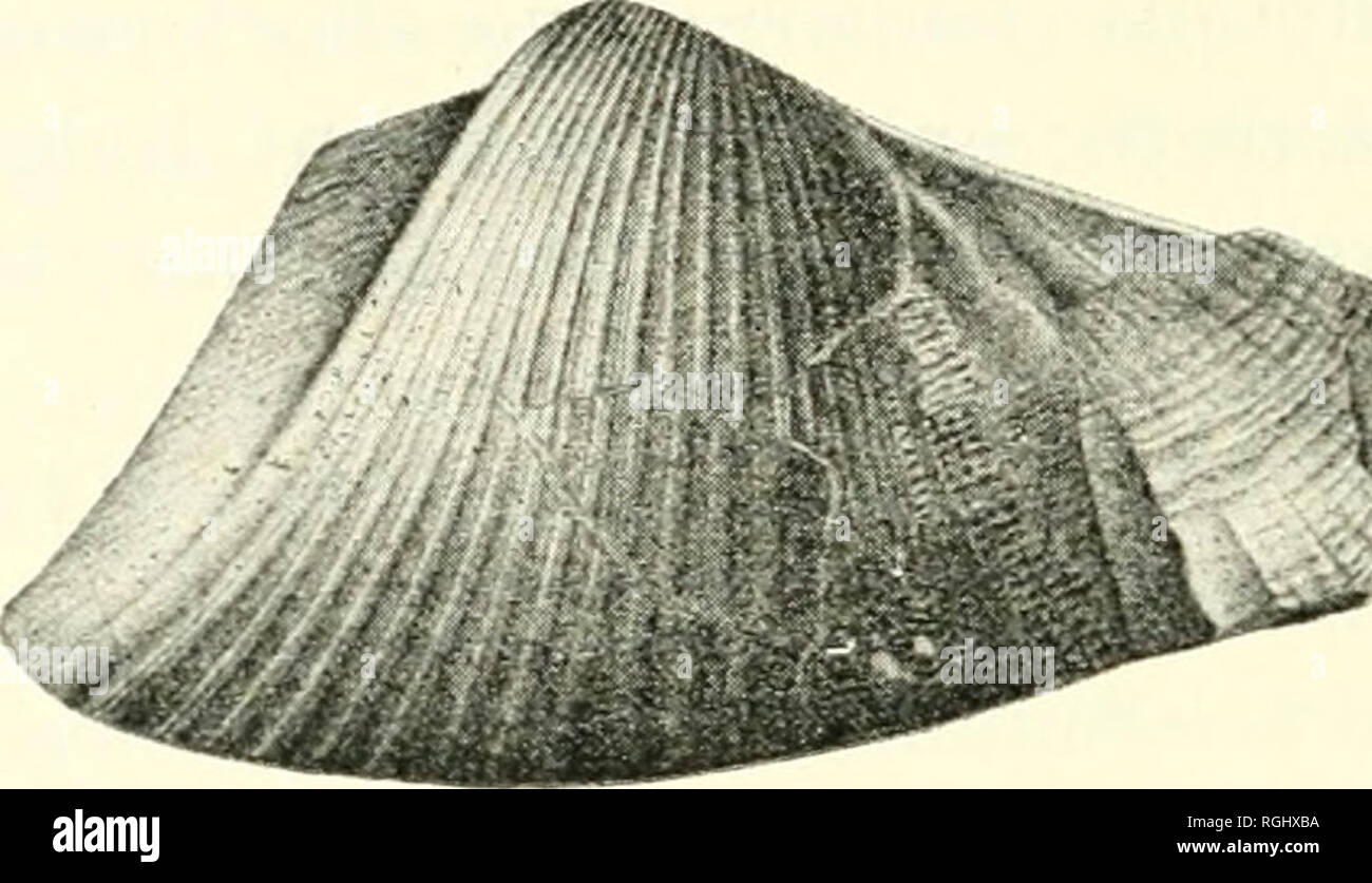 . Bulletin of the Buffalo Society of Natural Sciences. Natural history ...