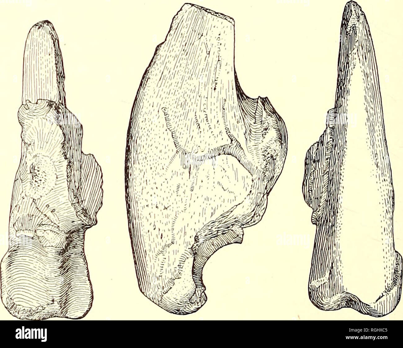 . Bulletin of the Department of Geology. Geology. 512 University of ...