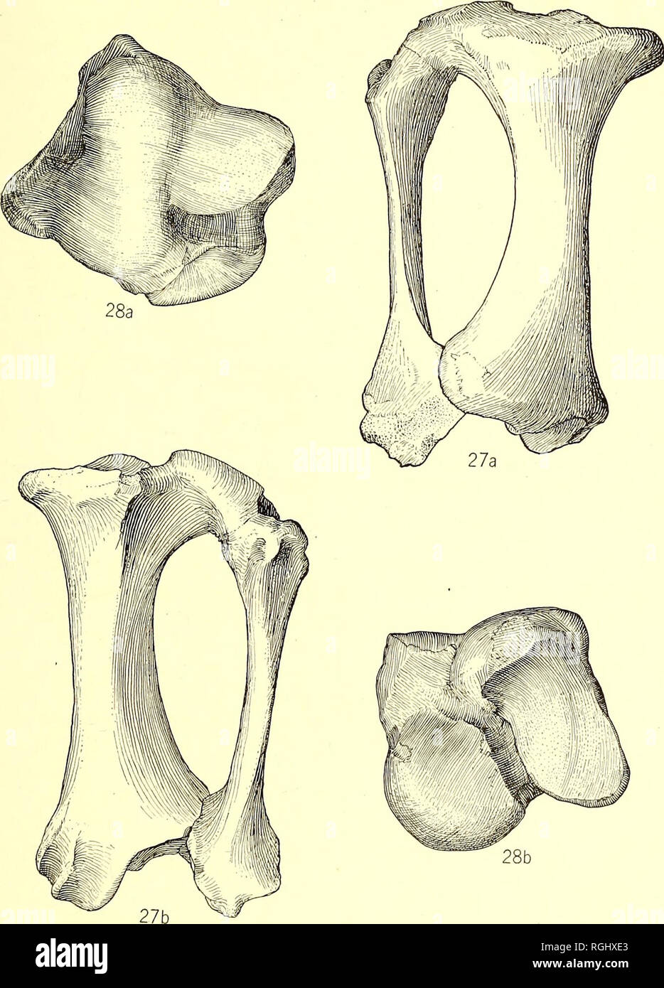 Hawver cave hi-res stock photography and images - Alamy