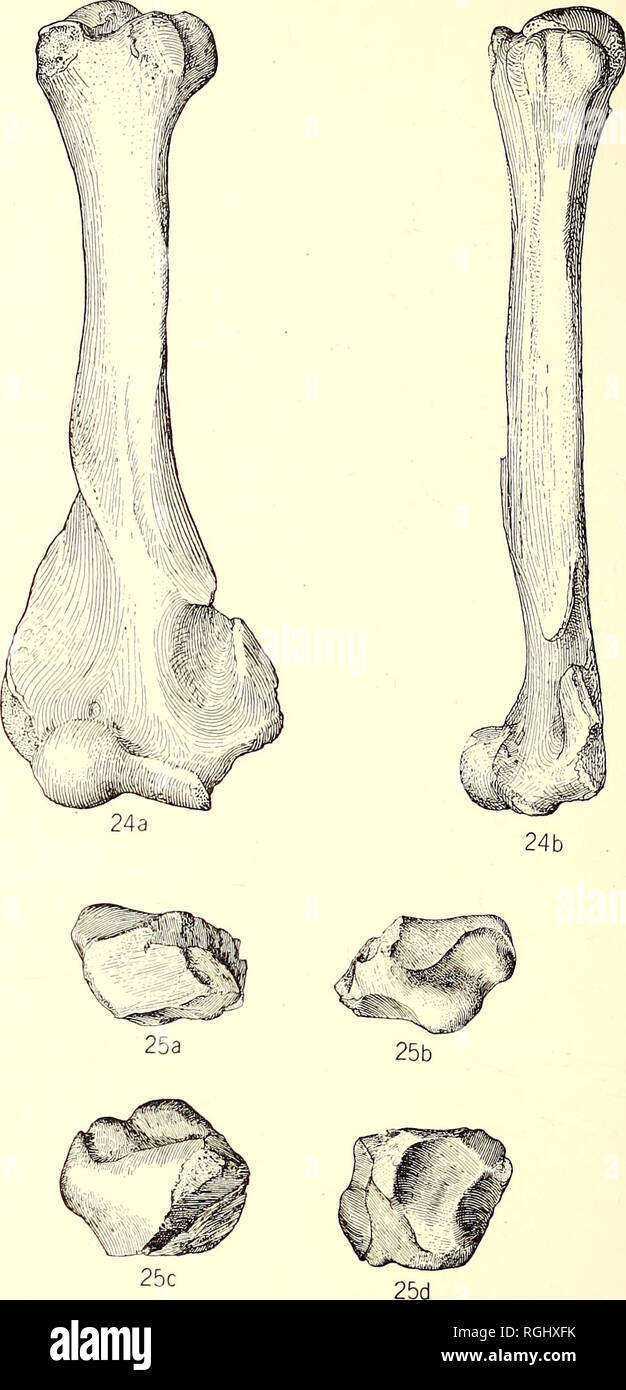 Hawver cave hi-res stock photography and images - Alamy