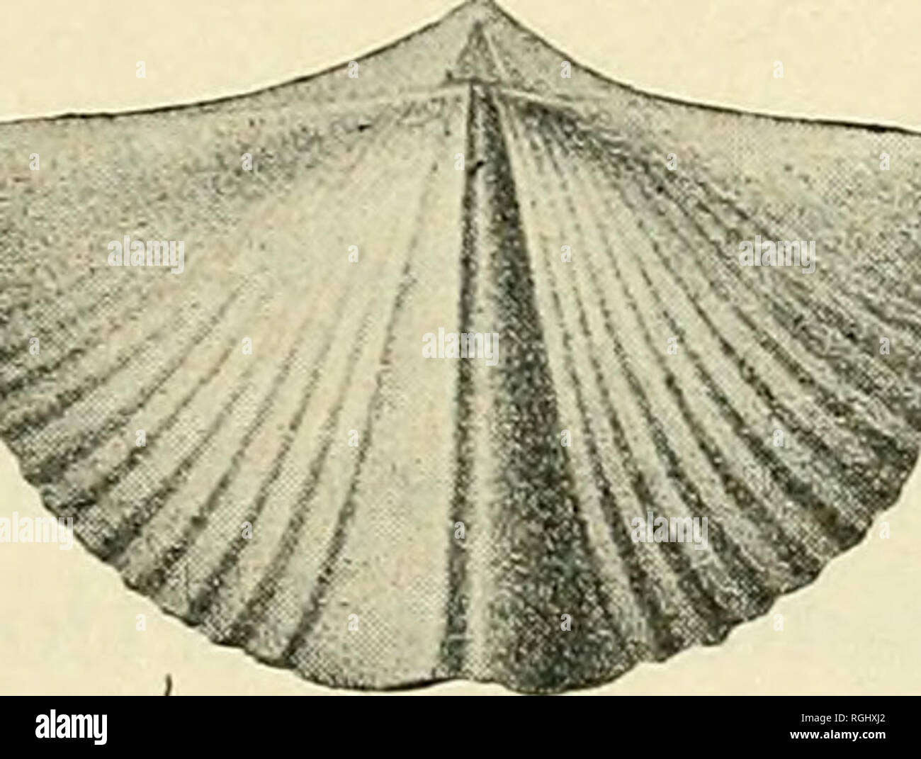 . Bulletin of the Buffalo Society of Natural Sciences. Natural history ...